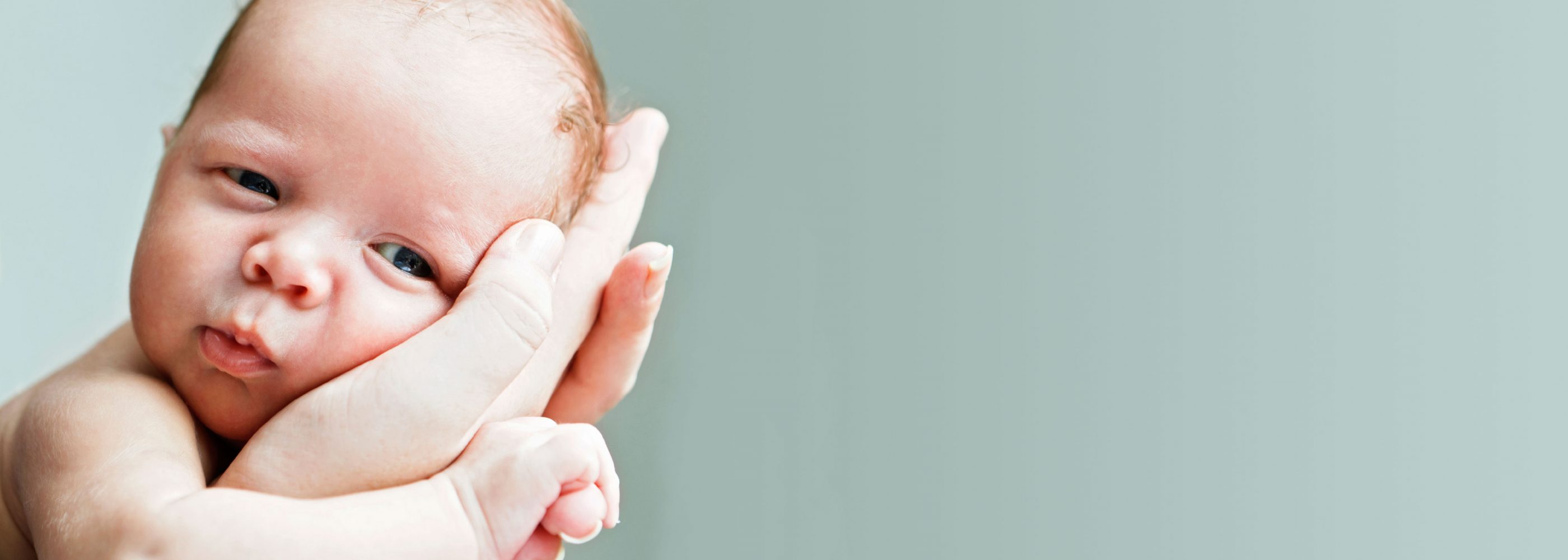 Online Neonatal Nurse Practitioner NNP MS DNP UConn